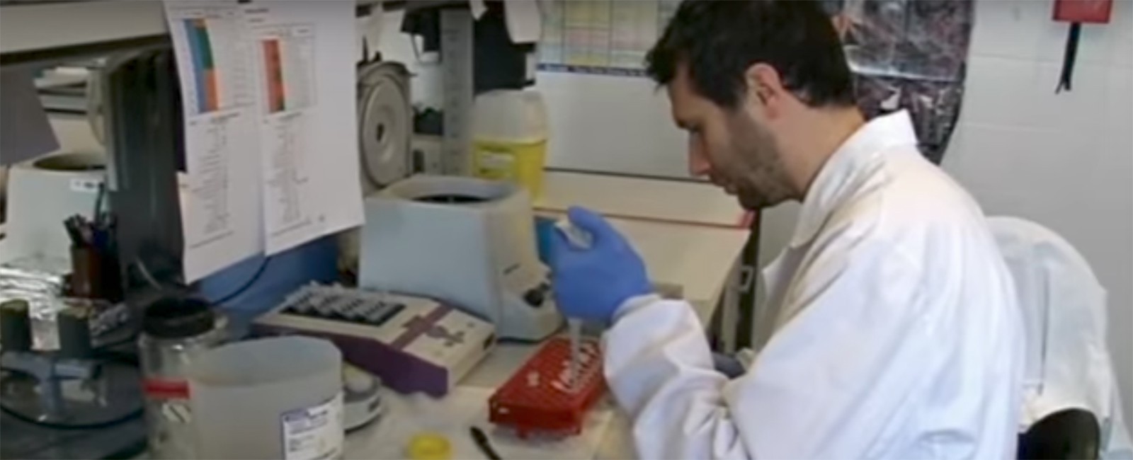 El endocrinólogo John Wilding disertará sobre la posibilidad de ...